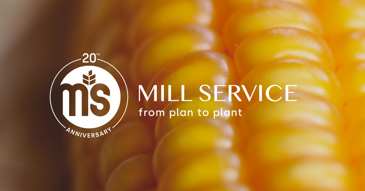 Mill Service - From Plan to Plant